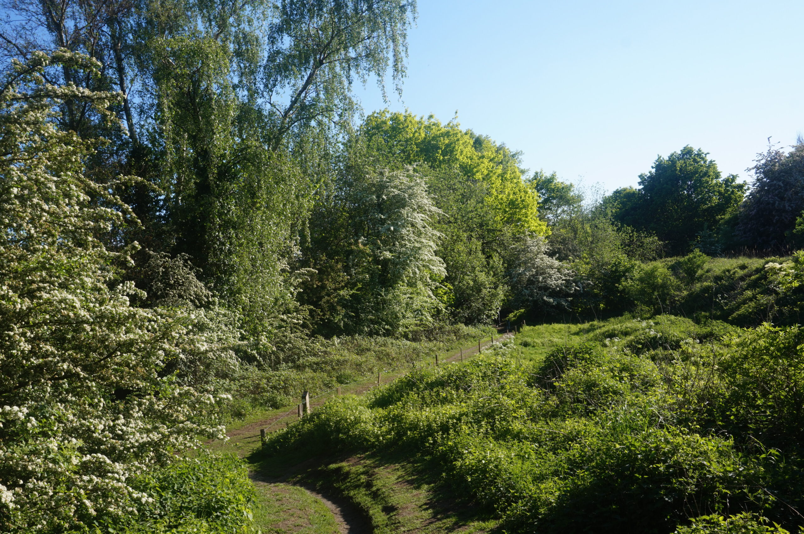 Wandeling doorheen het fort van Mortsel en Klein Zwitserland (5,5 km ...