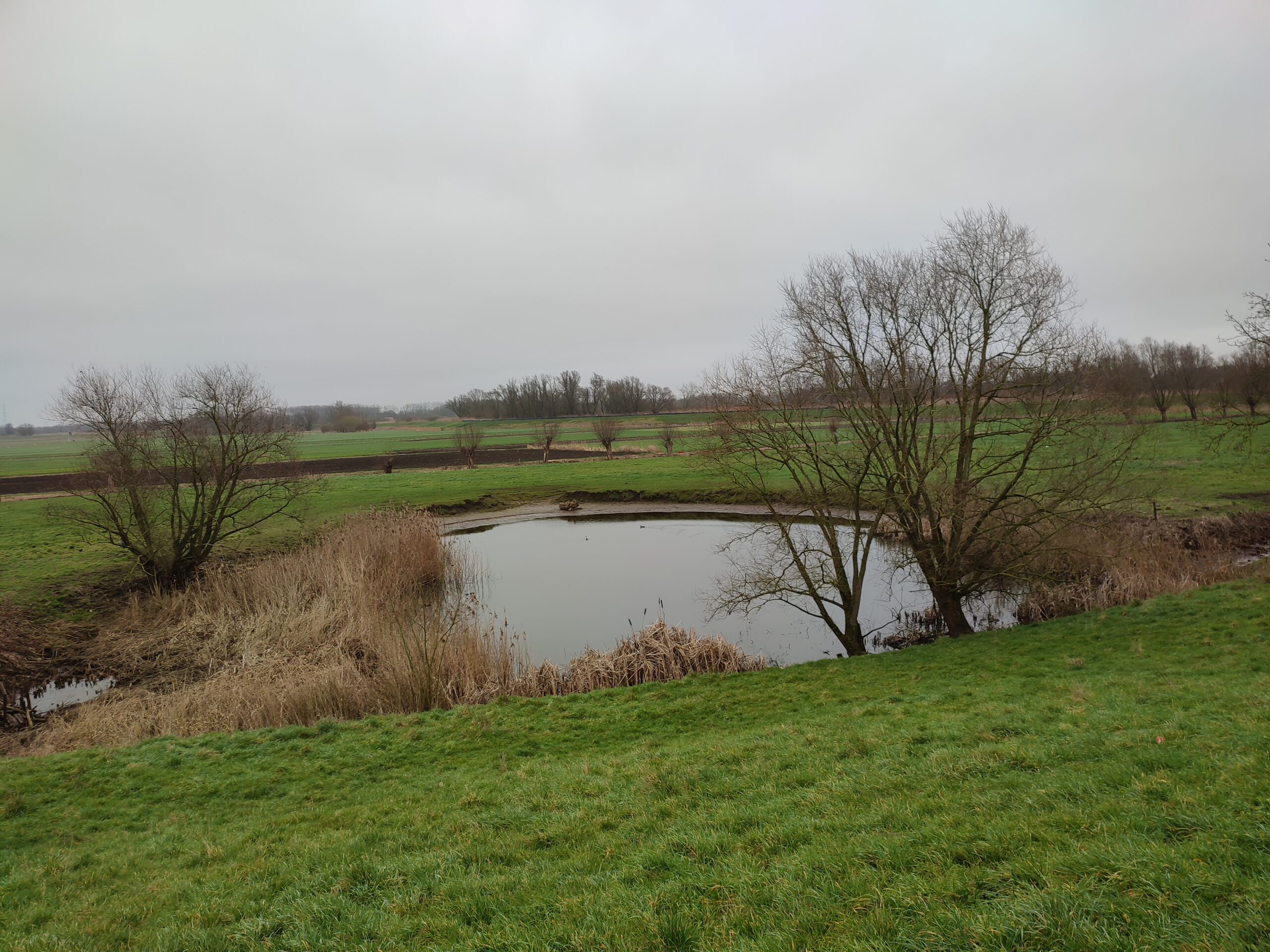 Potpolder & Roomacker - Tielrode (4+4 km) - Effen Weg vzw