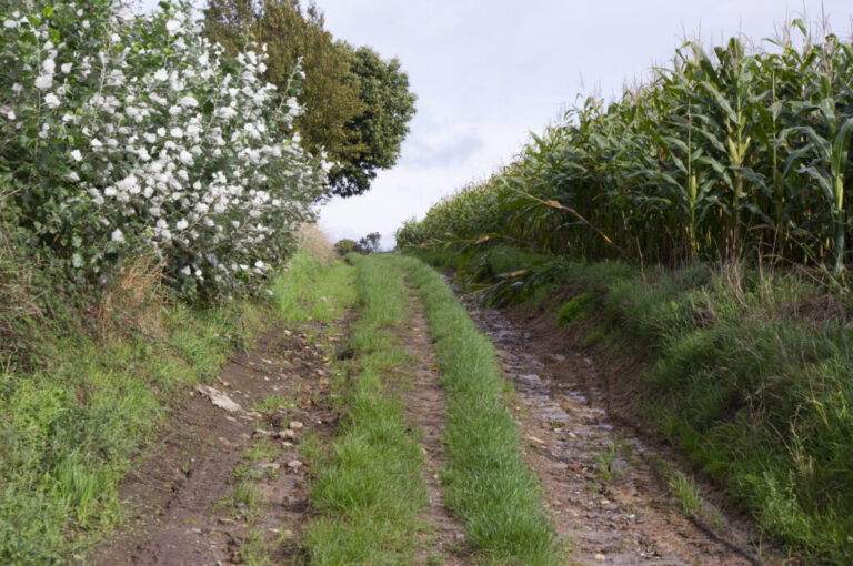 Geutelingenwandeling in Michelbeke (7km) - Effen Weg vzw